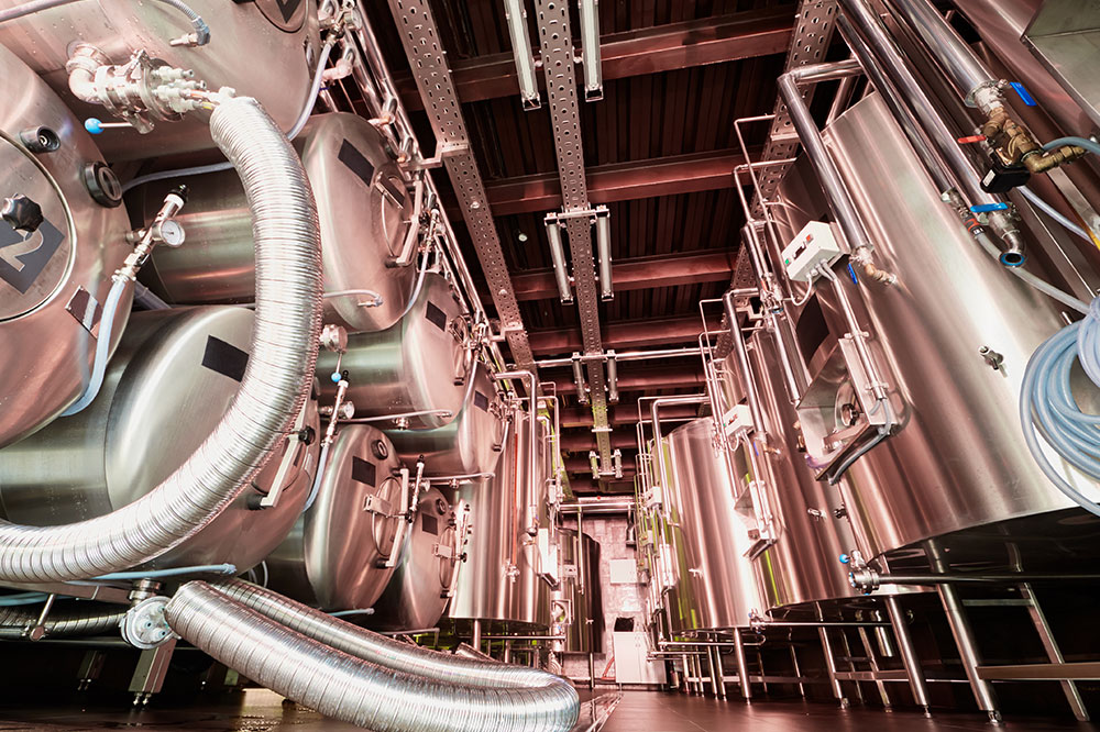 Clampdichtungen - Freudenberg FST